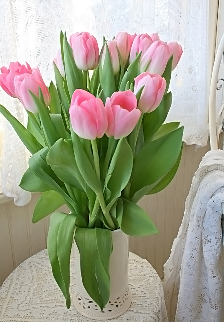 Beautiful vase of cute flowers | Flowers and Gardens