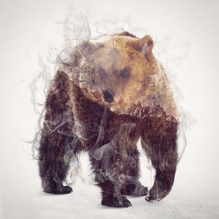 Design Stack: A Blog about Art, Design and Architecture: Ghostly ...