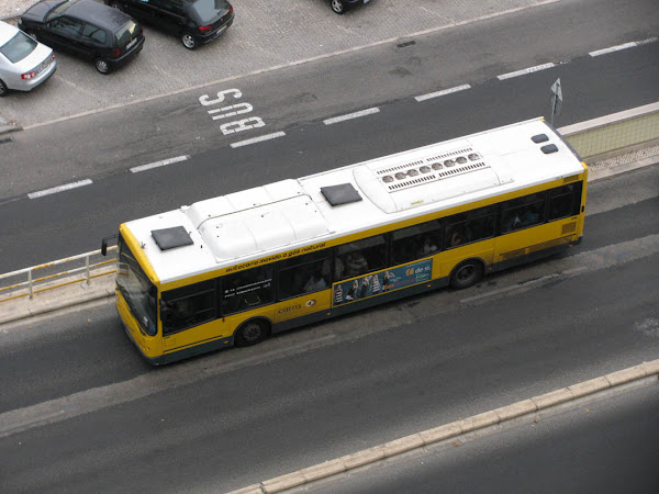 Carris bus | Lisbon city Daily Photo
