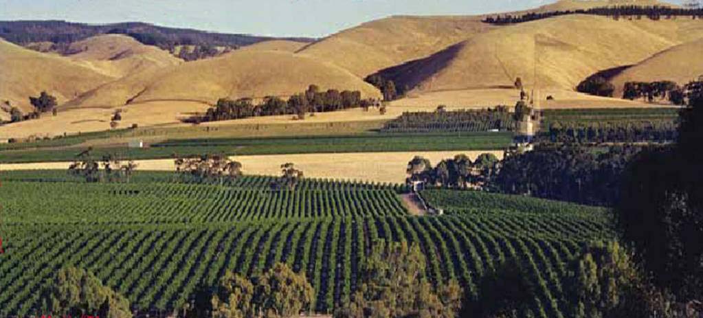 World Tour's & Travel: Barossa Valley Usually Means That The grapes ...