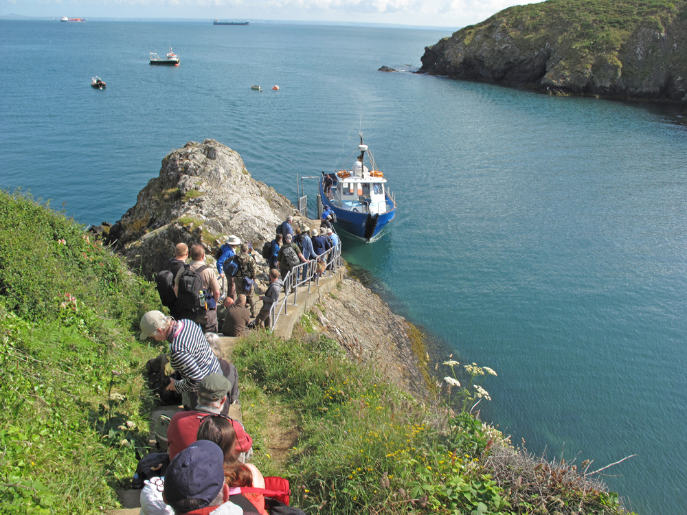 Brian Rafferty...Wildlife Photographer: Skomer Island..Puffins
