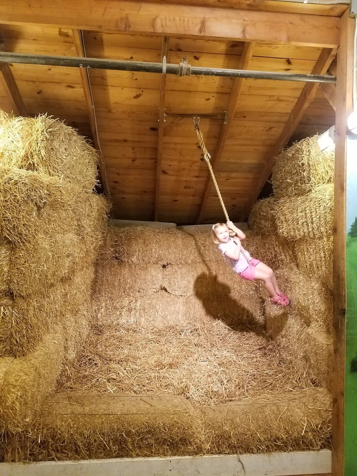 Play St. Louis: Purina Farms, Gray Summit