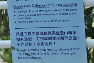 discoveries with curious me