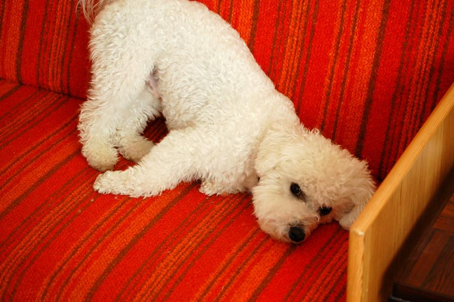 FOTOGRAF MARKUS SANDBERG