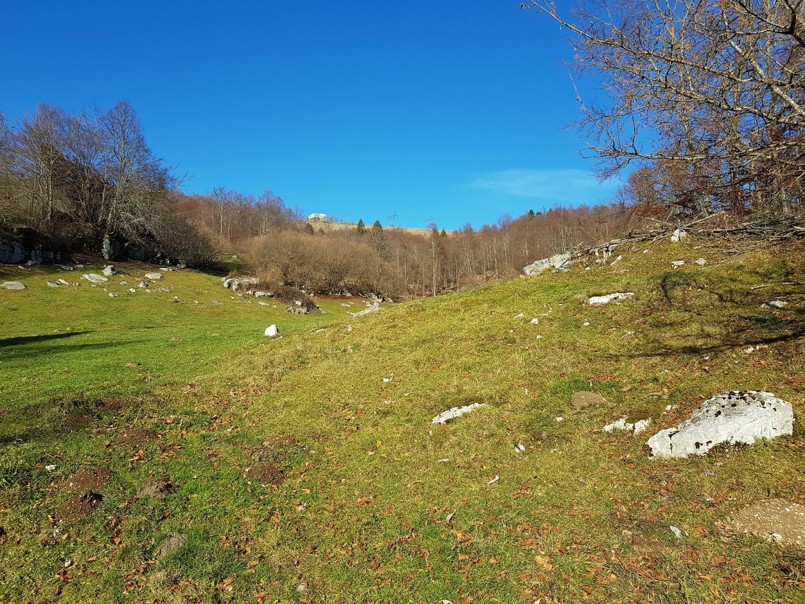 Su strade e sentieri: COL D'ASTIAGO (m. 1.241) - SENTIERO DEL VU - Val ...