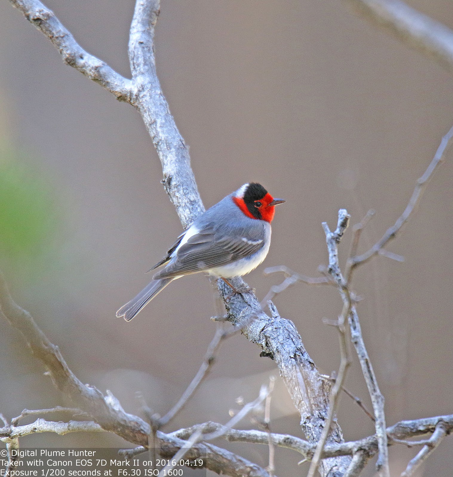 Hunting Digital Plumes in the US and Beyond: A Perfect Ten: Signature ...