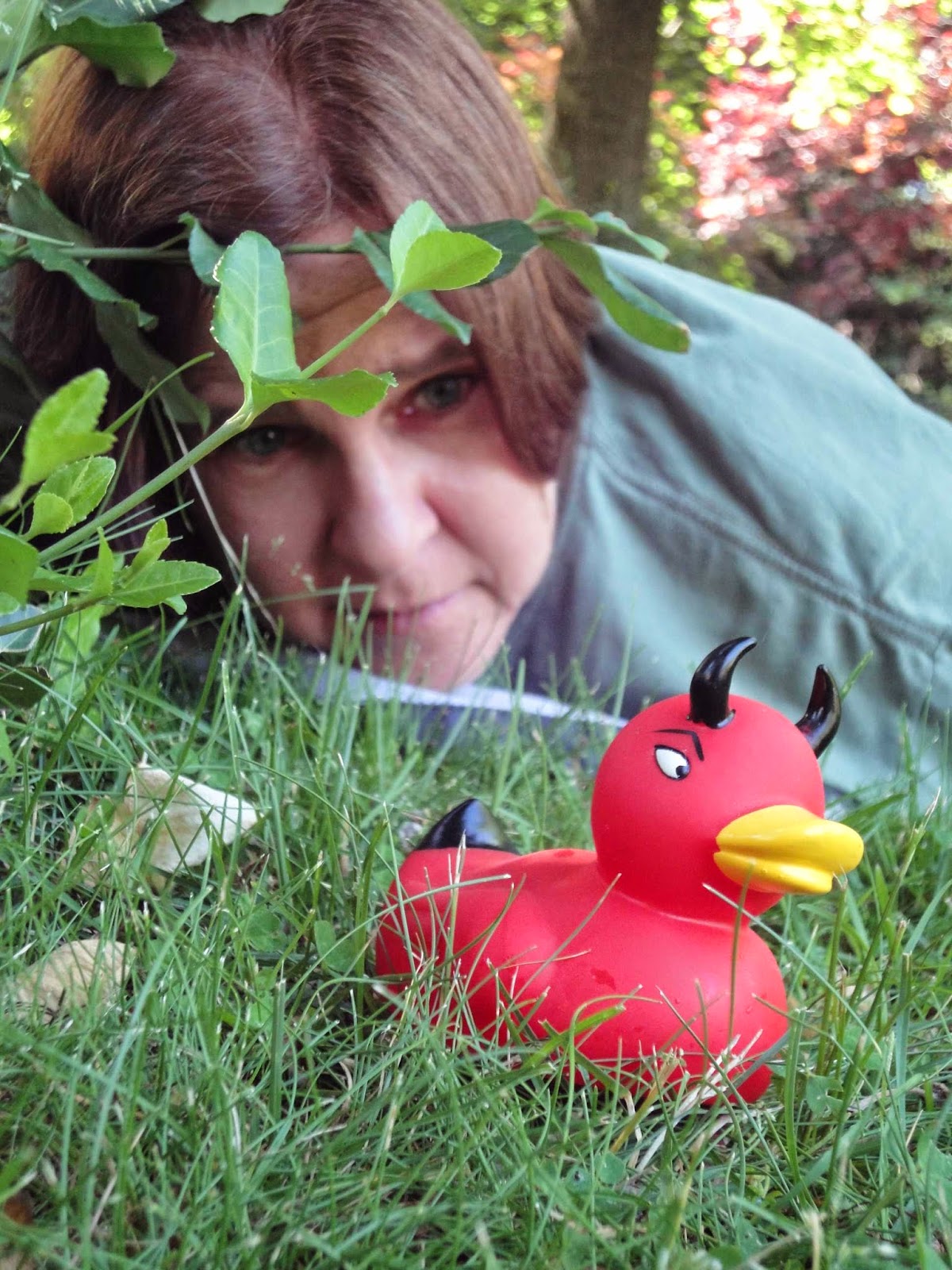 ANIMALS BEHAVING BADLY: Dead Duck Day Report