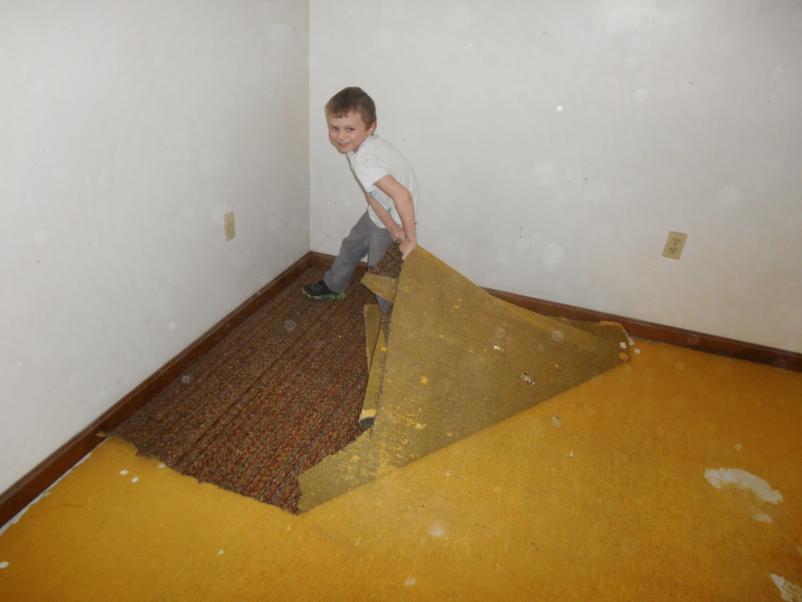 How We Spend Our Days: Carpet Removal