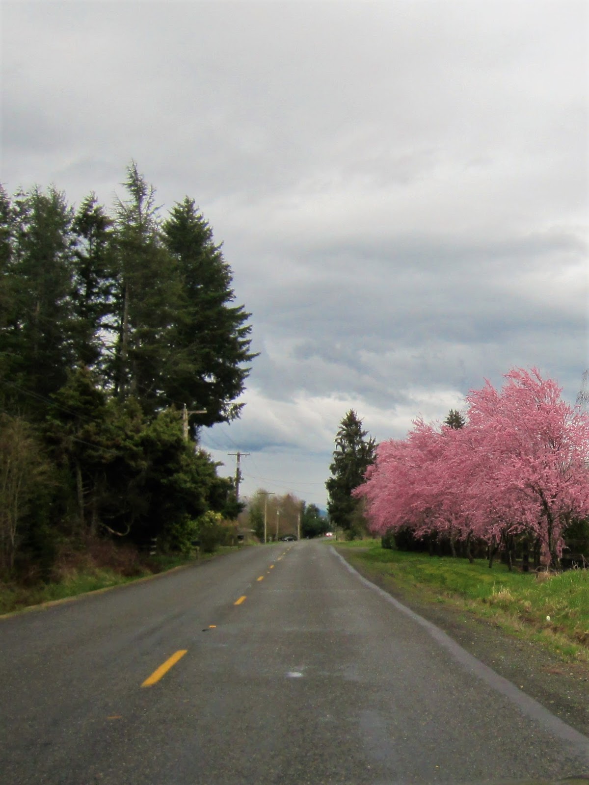Beatrice Euphemie: A Spring, Country Drive