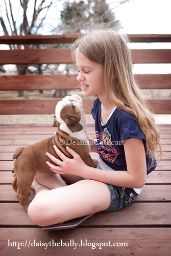 Daisy The Bully: Moo Moo - Now Emily going to NY