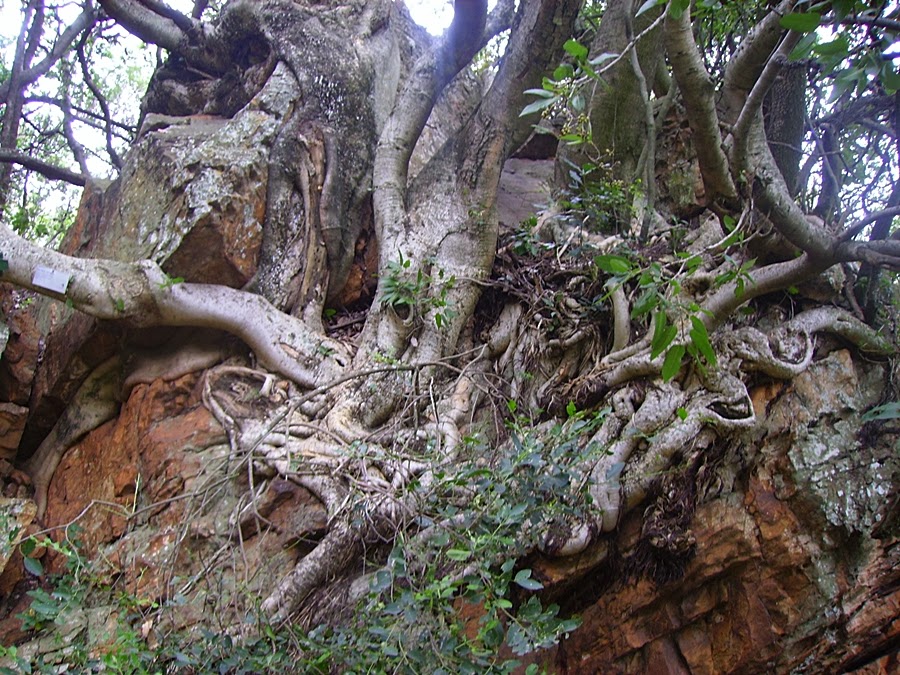 Jo's Space: PRETORIA