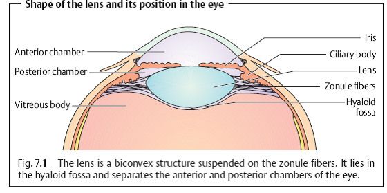 Mengerti Kedokteran: 2016