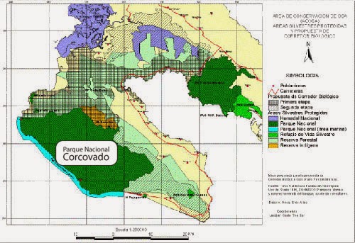 Ecomanglares Sierpe Lodge