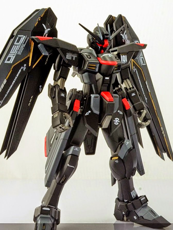 Gundam Family: MG 1/100 ZGMF-X10A Freedom Gundam Custom Color Painted Build