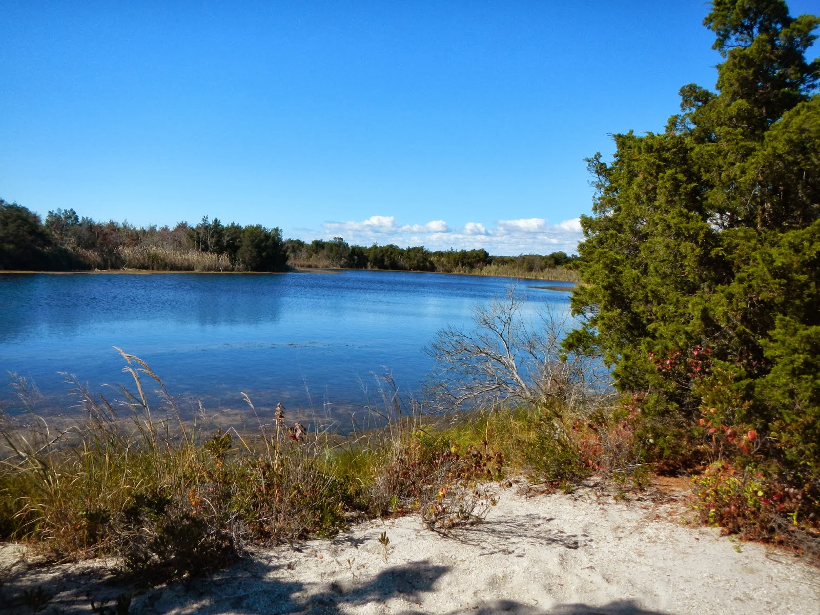 Oh To Be Hiking!: Higbee Beach WMA