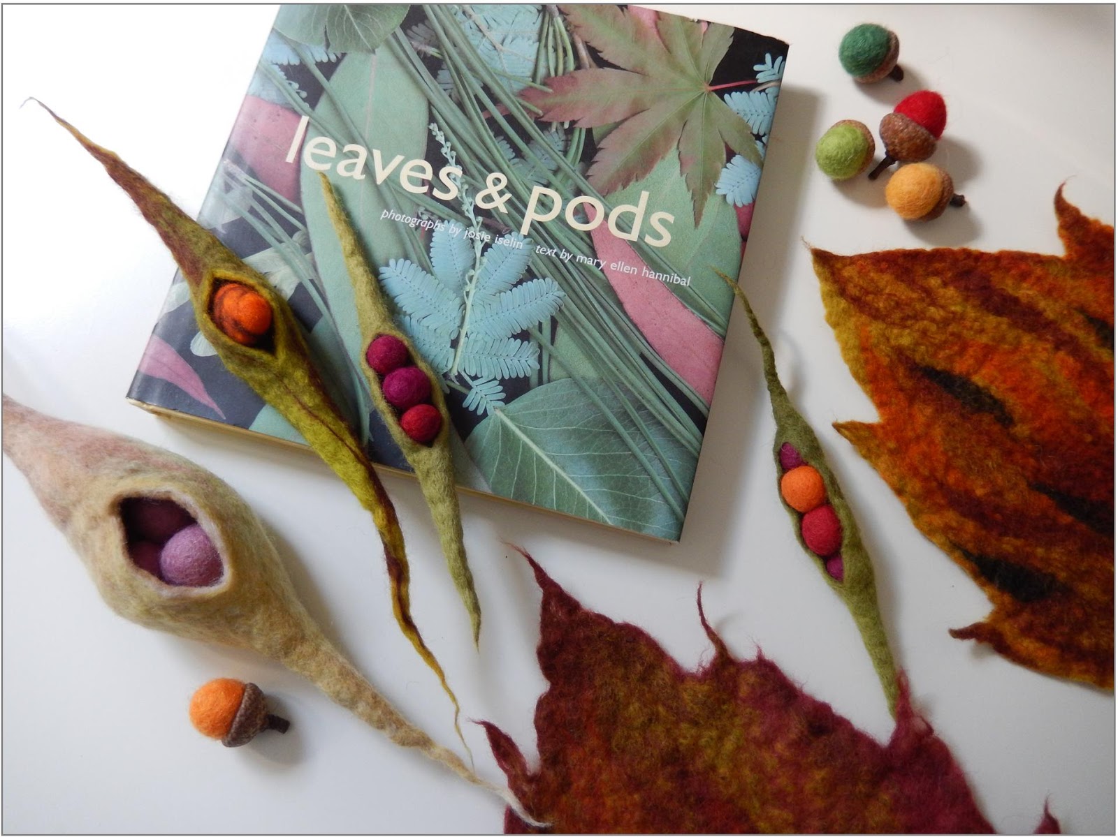 FELTING matters... : "SEEDS & PODS"