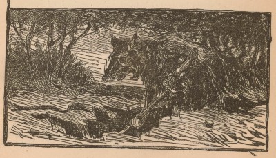 BRER RABBIT: TALES of a TRICKSTER: C020. Rabbit, Wolf, and the Tail of ...