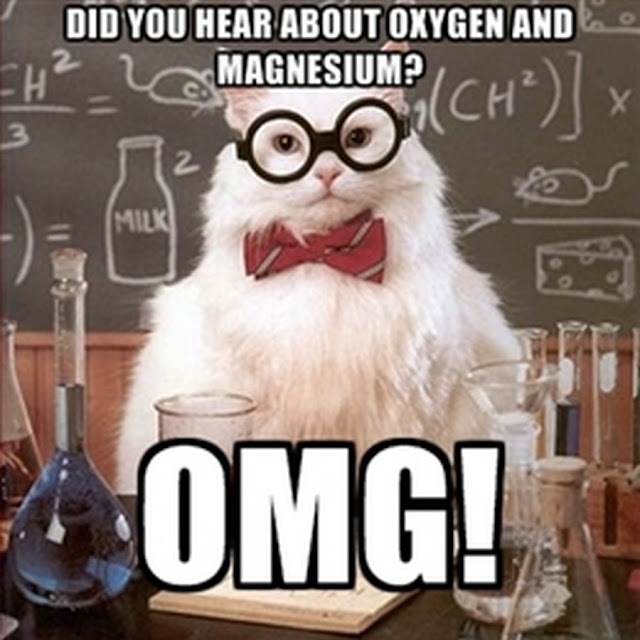 Chuck's Fun Page 2: Science Cat