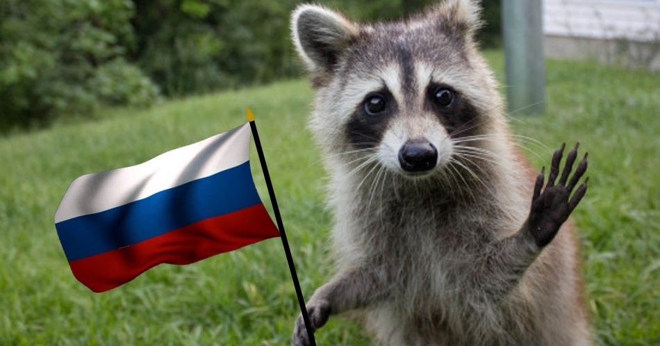 RNN: 'Dr. Strangetrump' Or 'How I learned to stop worrying and love the ...