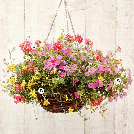 New Home Interior Design: Create Stunning Hanging Baskets