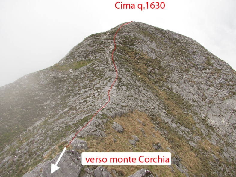 Escursionismo a 360°: Monti Corchia e Freddone (EE)