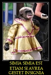 Dē verbīs prōverbiīsque Latīnīs: junio 2013