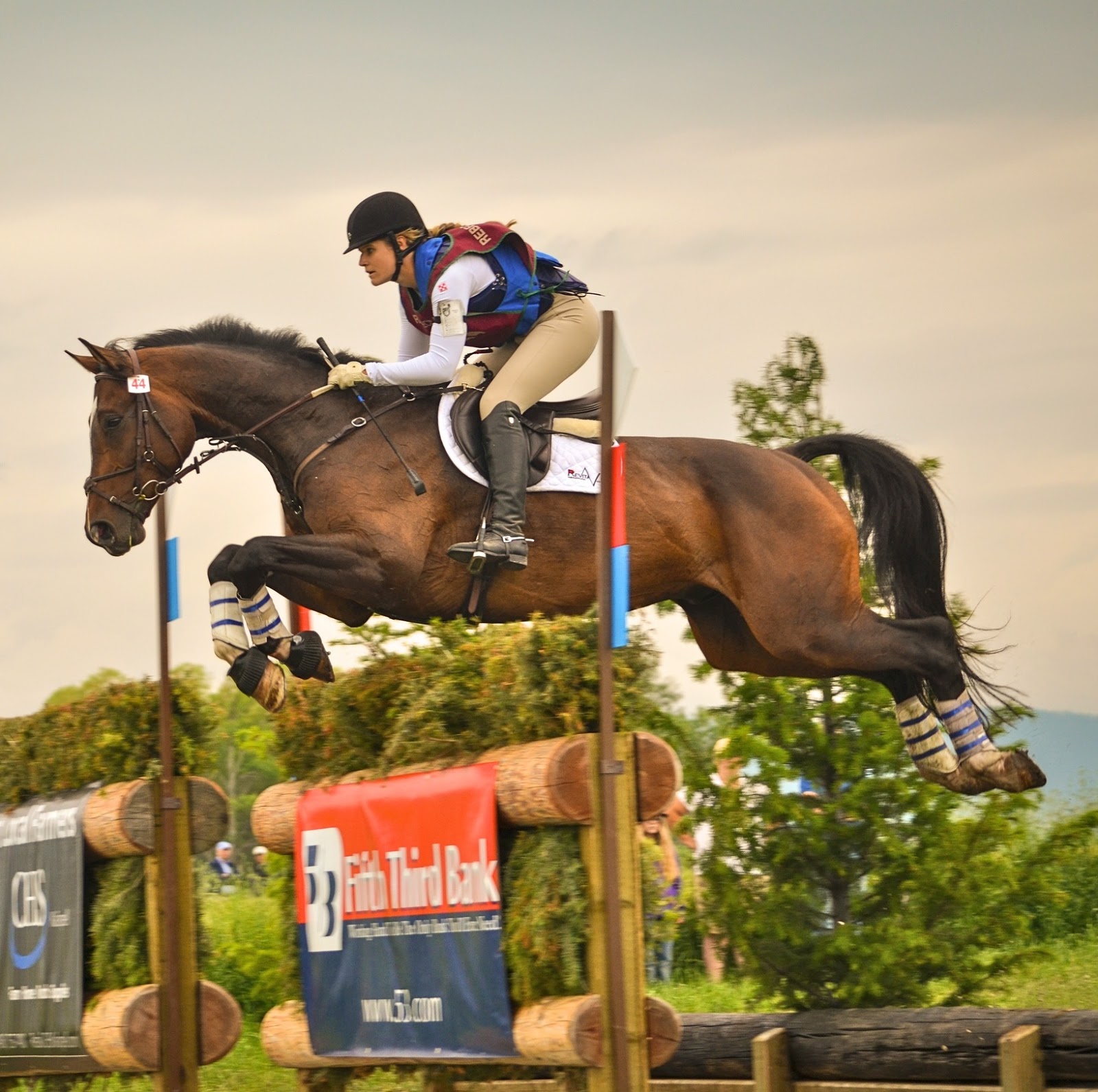 RevitaVet: The Importance of Breeding Eventing Horses