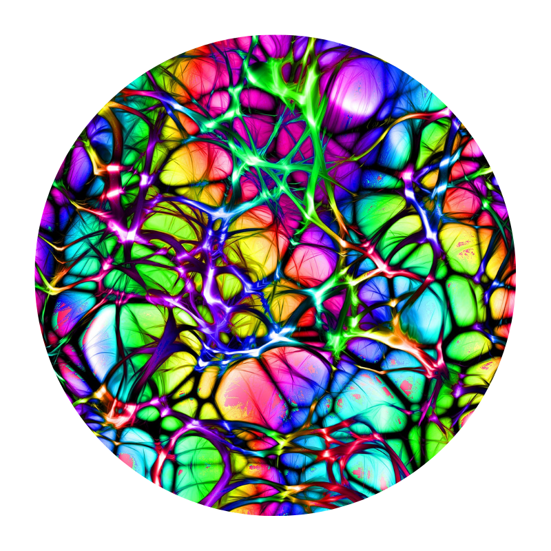 LATERALIZACIÓN HEMISFÉRICA - CivetExtendido