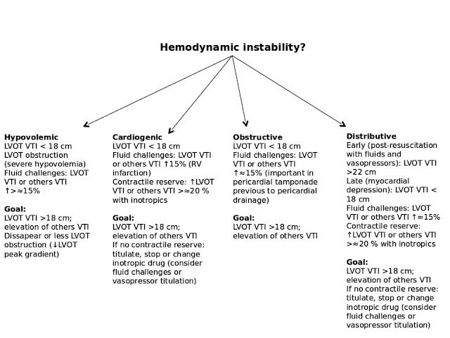 ResUS 1: ResUS in the Literature: RUSH VTI Protocol