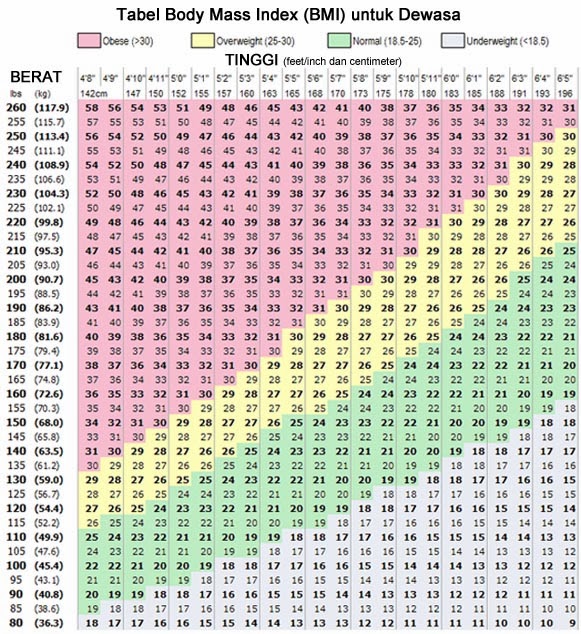 Segala Ada: Cara Mengukur Berat Badan Ideal