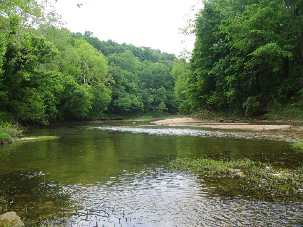 Louisville Fossils and Beyond: Memorial Day in the USA