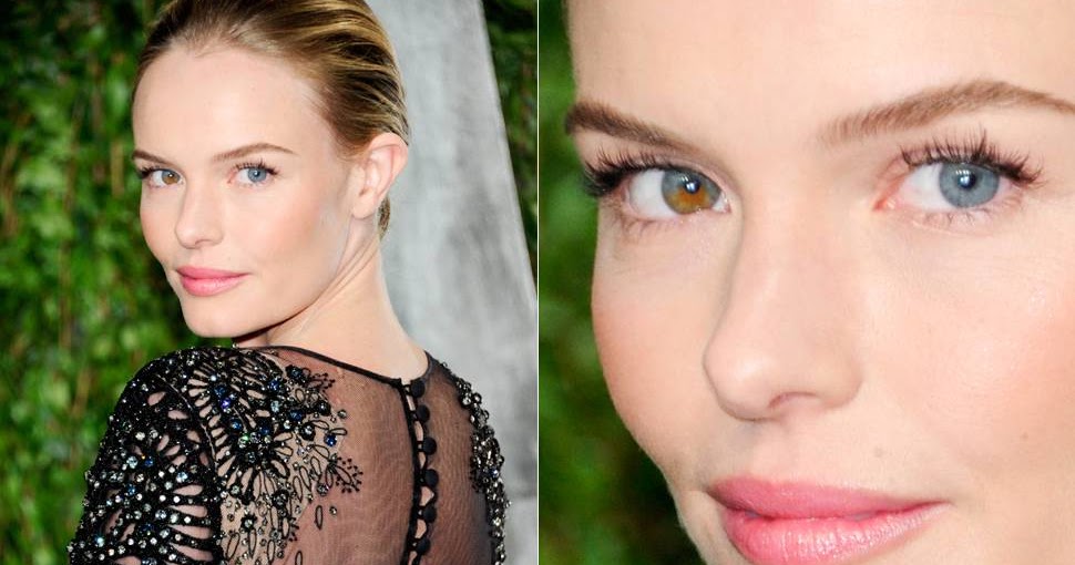 Blog do André Café: O QUE É QUIMERISMO?