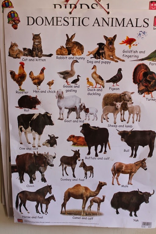 Learning Charts for Babies - Wall Hanging Charts for Toddlers - Test Blog