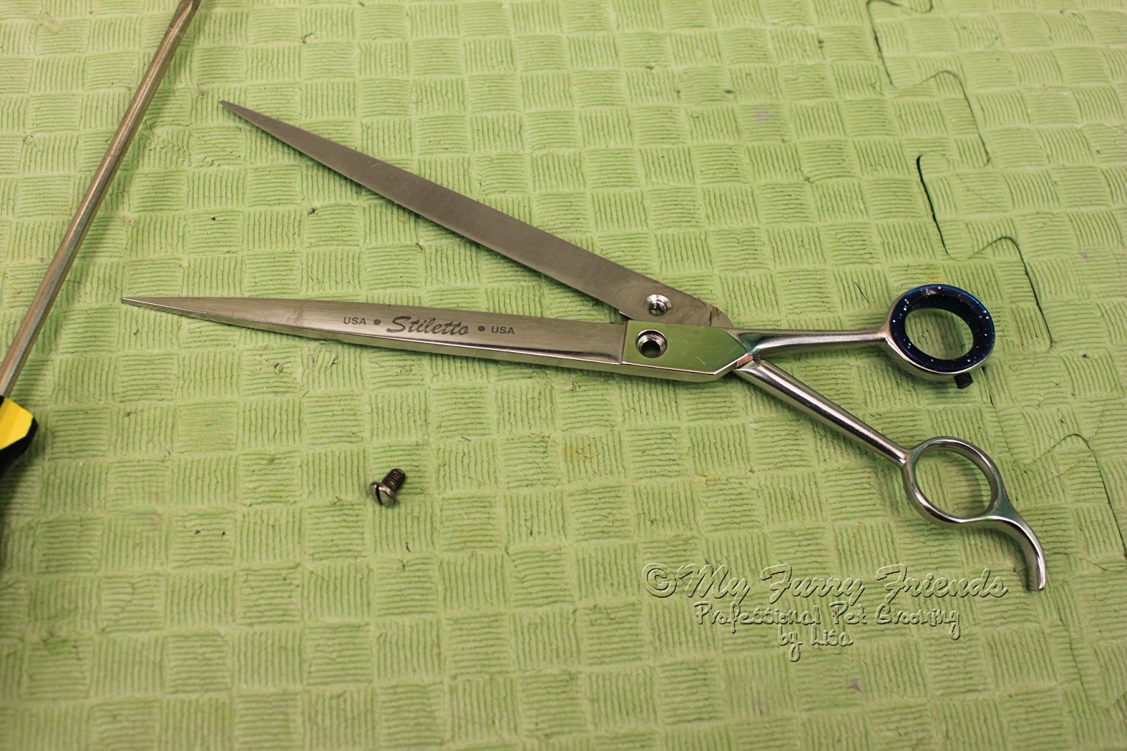Pet Grooming: The Good, The Bad, & The Furry: Tuesday Tip #58...Scissor ...
