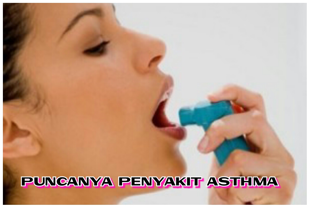 PUNCANYA PENYAKIT ASTHMA
