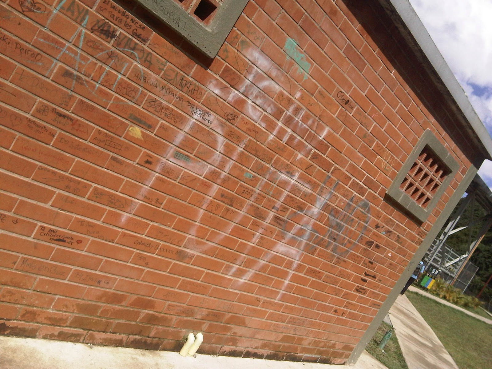 Planeta Natural: Rayones en las paredes