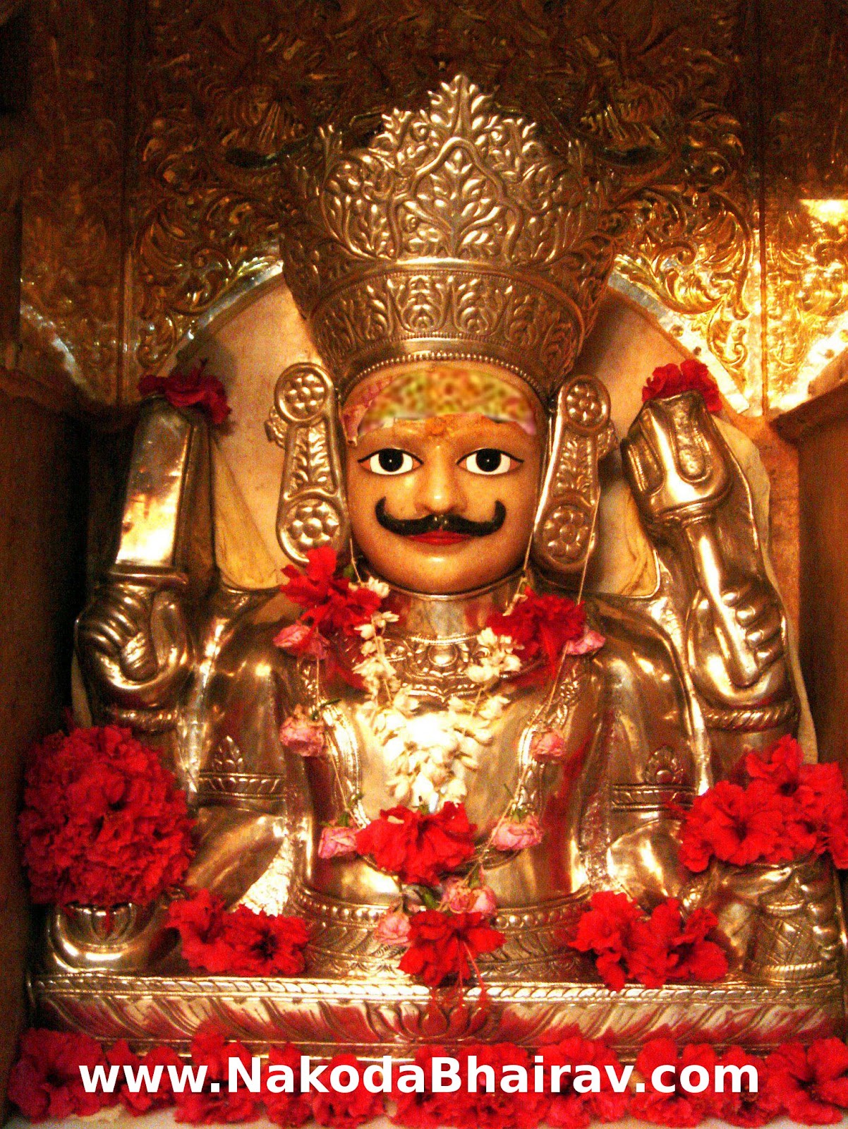 Nakoda - JungleKey.in Image