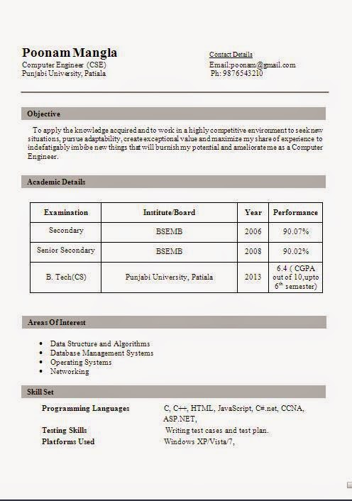 cv writing format