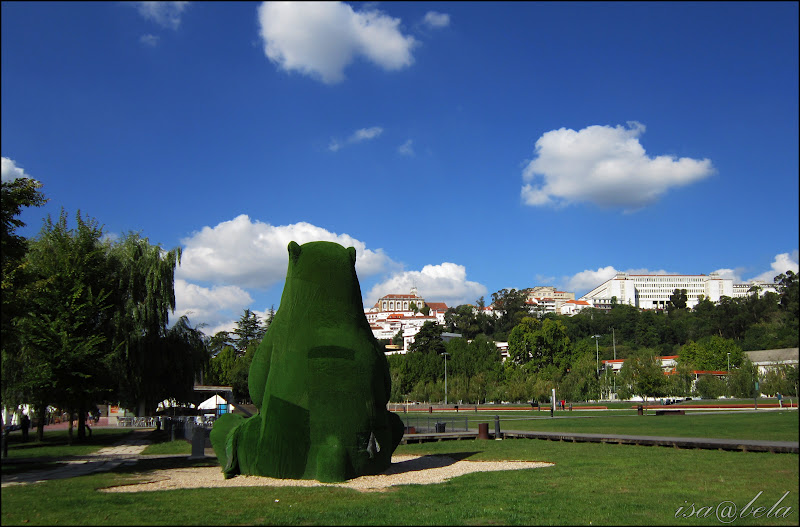 UM PIGO DE LUZ: Parque Verde do Mondego / Coimbra