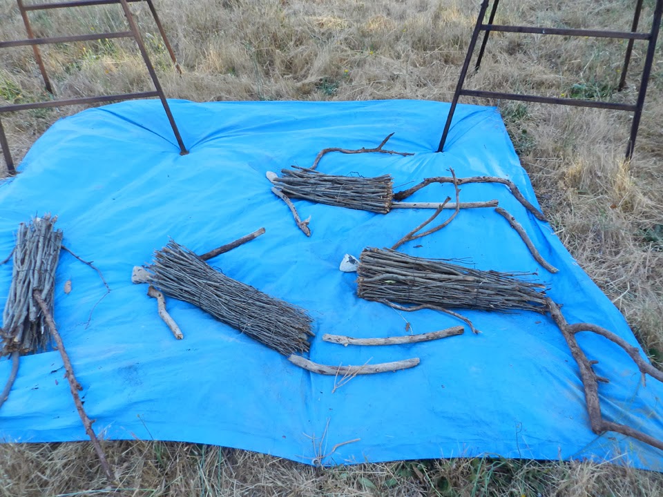 Art Rolls On: Gene Pool