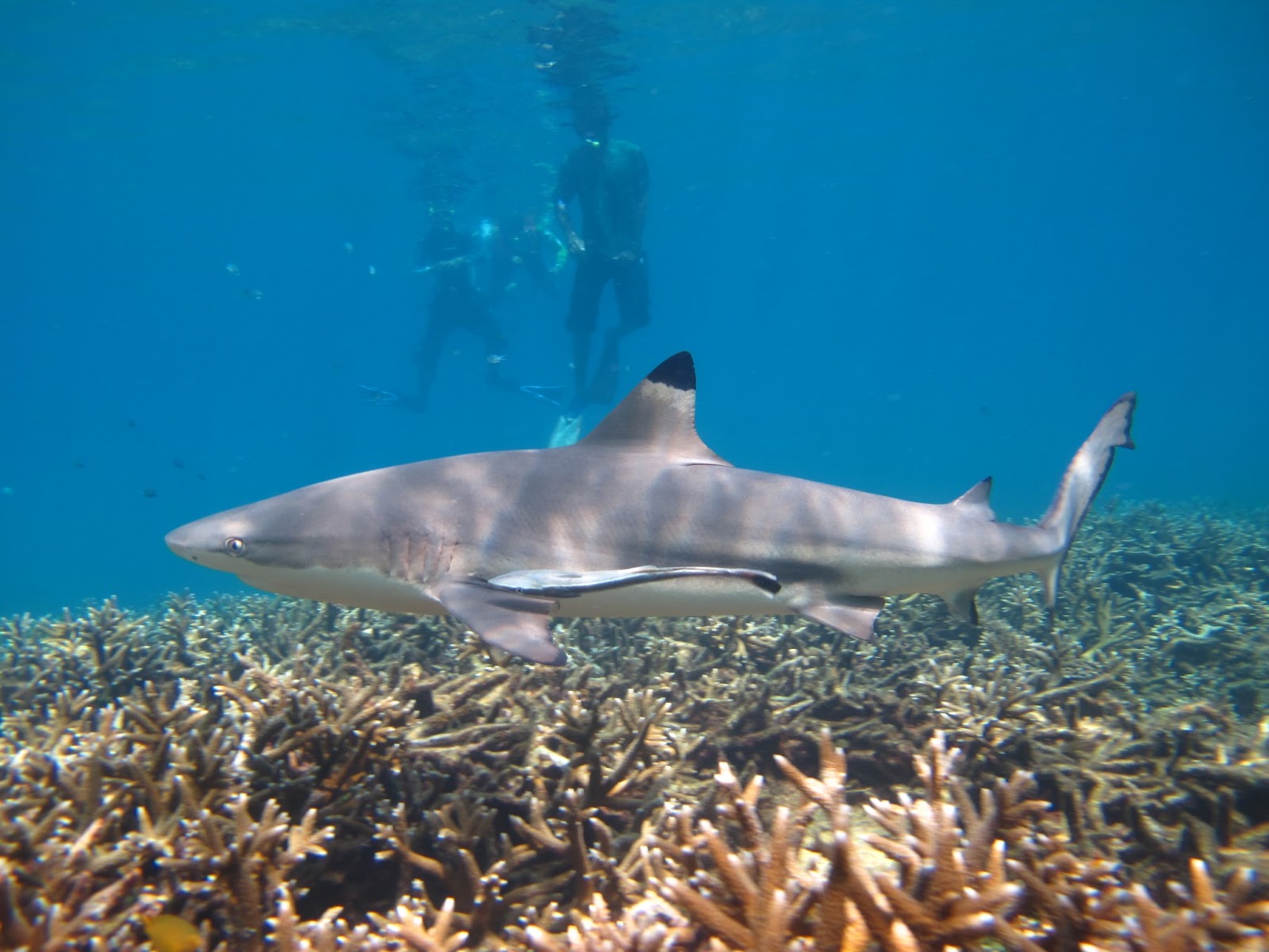 3days 2night Perhentian Package