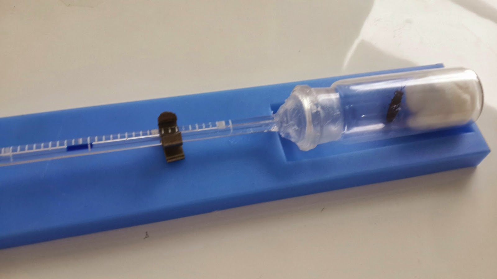 Laporan Praktikum Biologi "Respirasi Hewan"