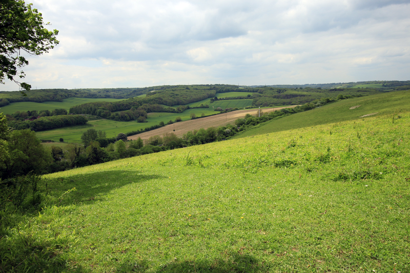 An Amazing Place, Ranscombe Farm, Kent - 17th May 2016