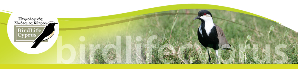 The Future of Birds: some international bird conservation news