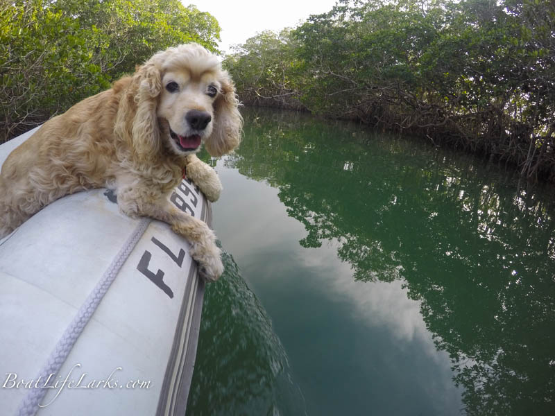 Tarpon Basin, Bayside Key Largo - Boat Life Larks - SV Dulcinea