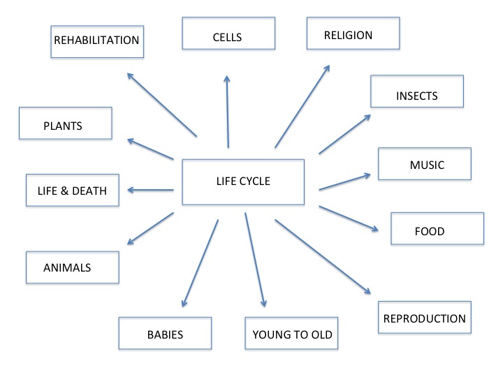 Duran Young Photography: Life Cycle Mind Map