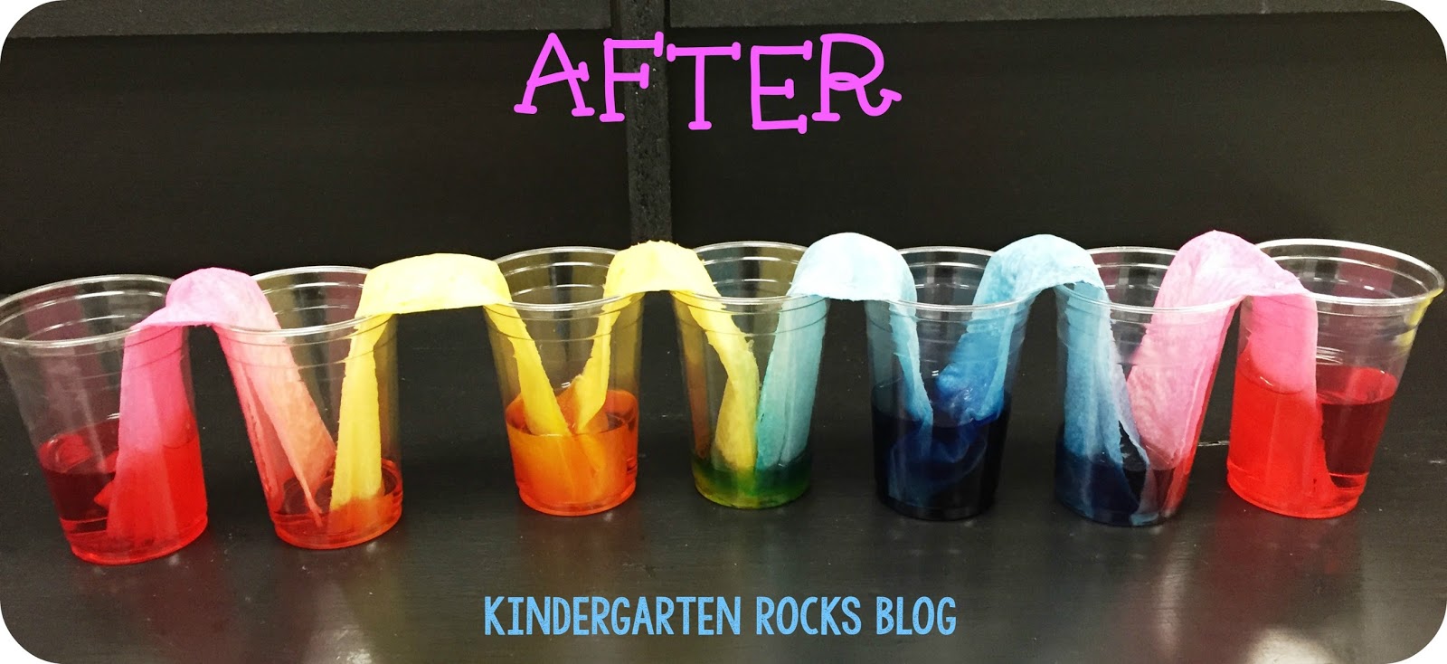 Walking Water Experiement | Kindergarten Rocks! | Bloglovin’