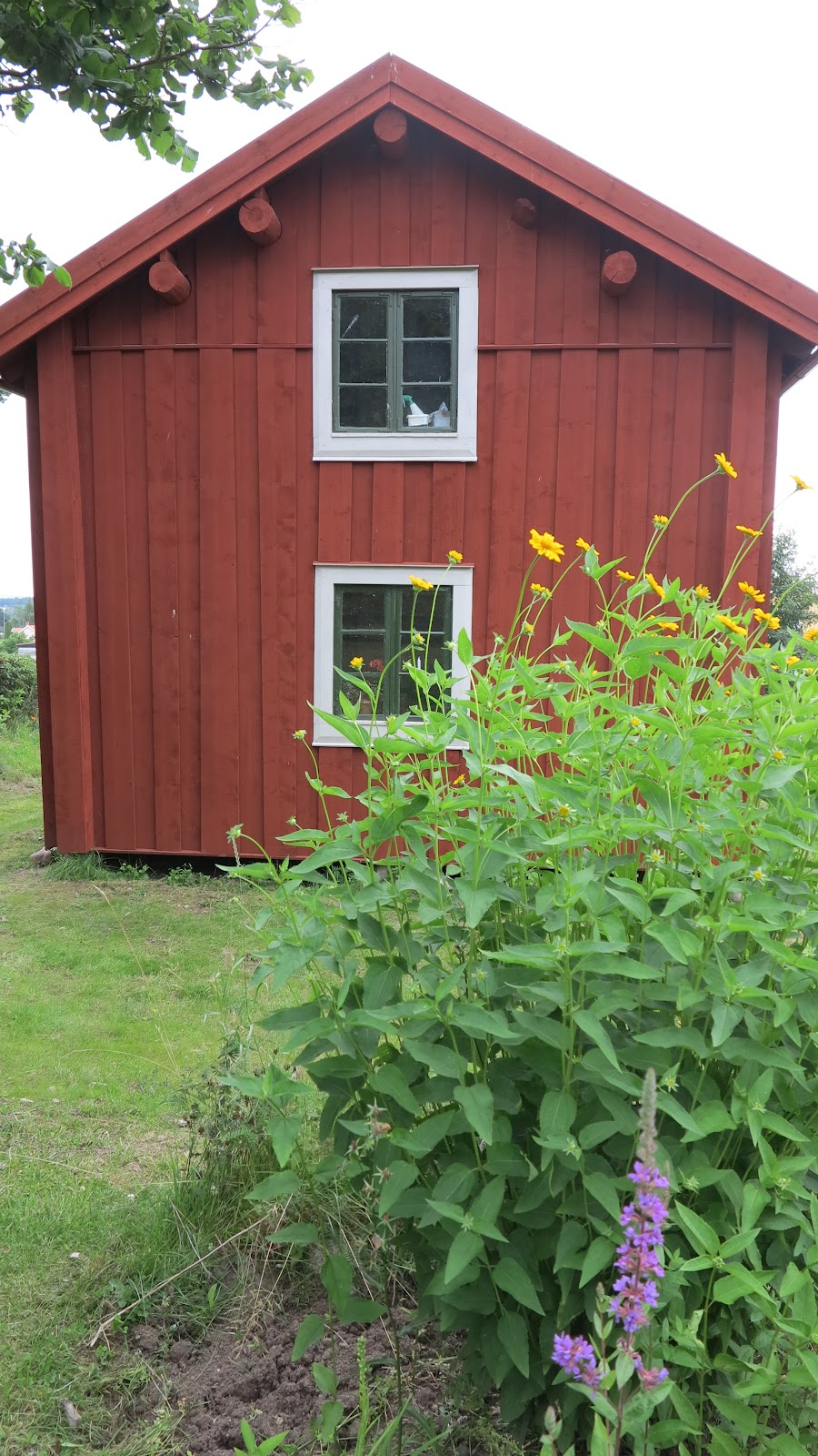 Ett gammalt timmerhus: Vem älskar ett uthus.....