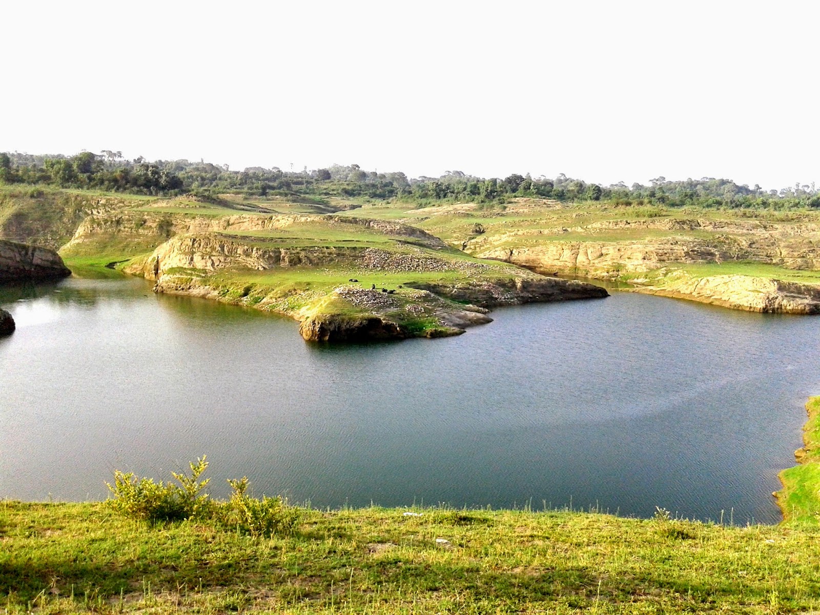 Avtansh Kumar: Another Sunday Trip : 'Pong Dam' Talwara in Himachal Pardesh
