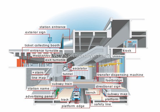 Wisepath: BEGINNER LEVEL